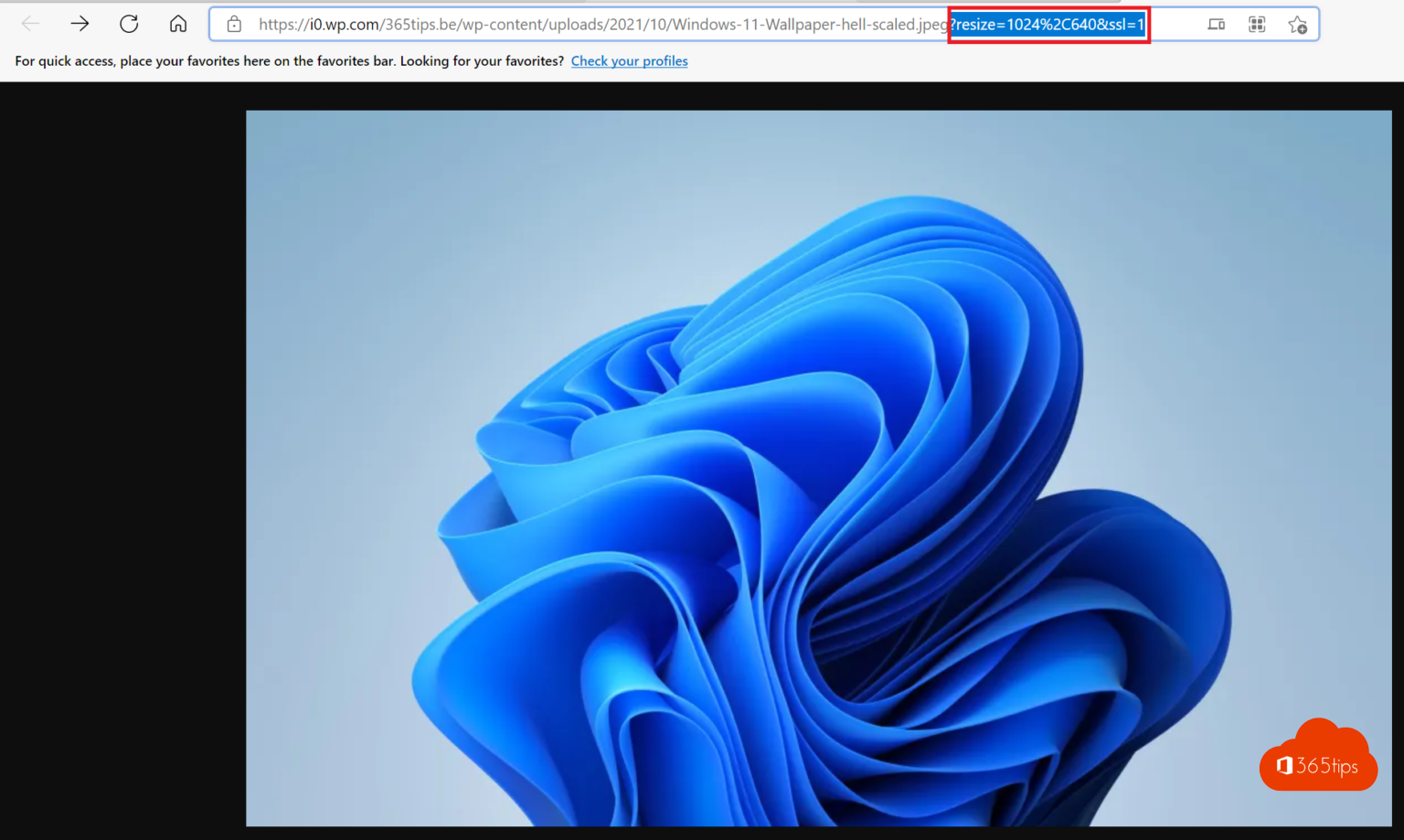 🌲 Windows 11 - 4K achtergronden - wallpapers - backgrounds